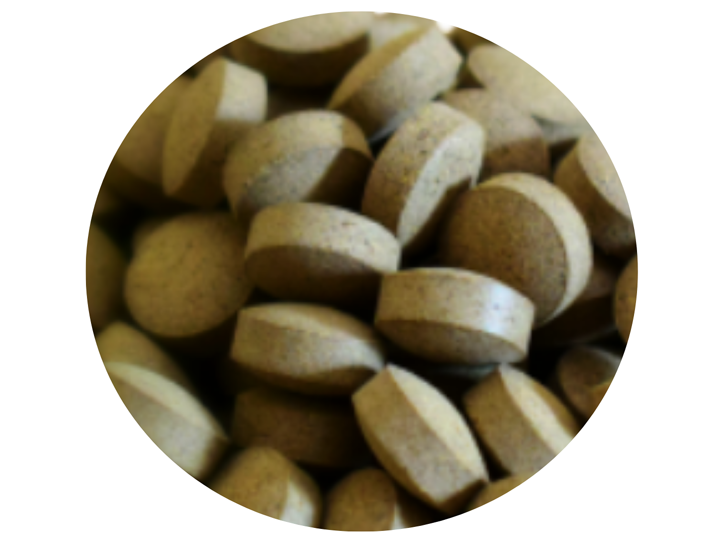 Diabetes Tablet-Blood Sugar - diabetes, sugar , Dia-Amrut, blood sugar