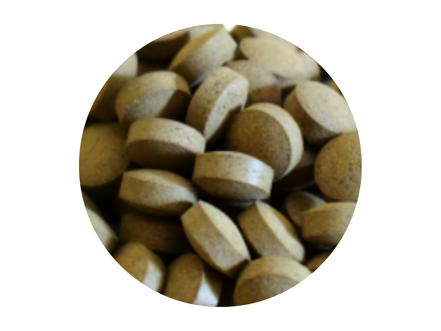 Gandhak Rasayan Tablet