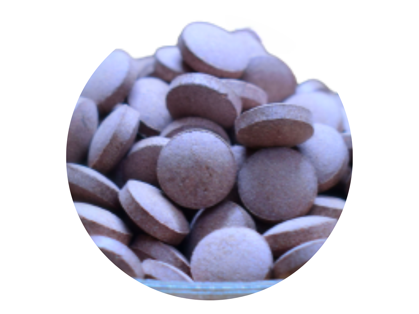 Punarnava Mandur Tablet